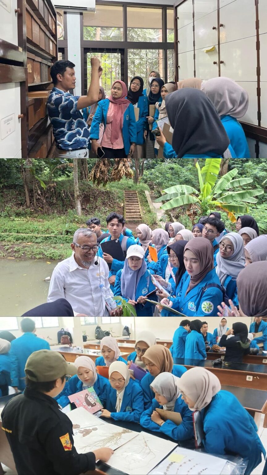 FIELD TRIP: PLANT SYSTEMATICS PRACTICUM 2025 – Biologi